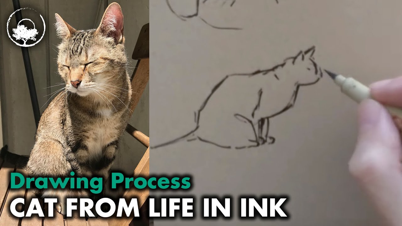 How I Draw My Cat from Life - Drawing Tutorial + Sketchbook Tour ...