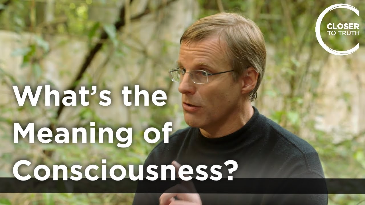 What’s the Meaning of Consciousness? Consciousness is a movement that ...