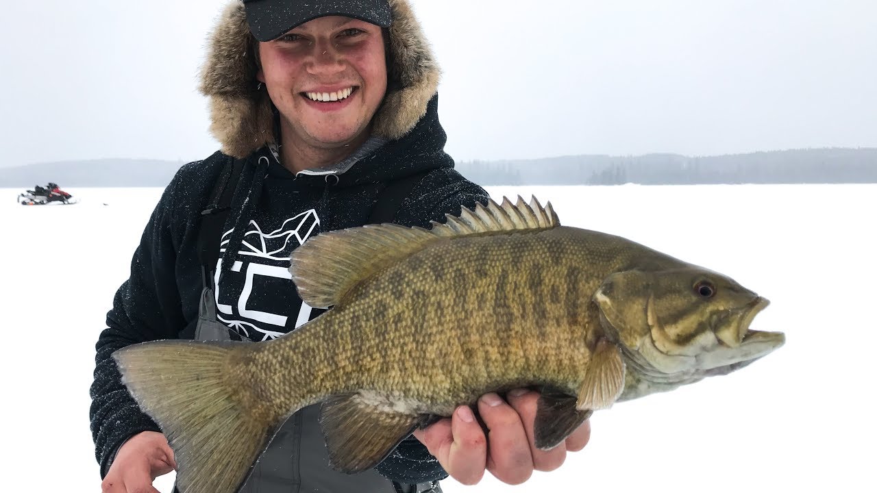 Ice Fishing for Smallmouth Bass! Ft. APBASSIN (hitting the ditch) - Jay ...