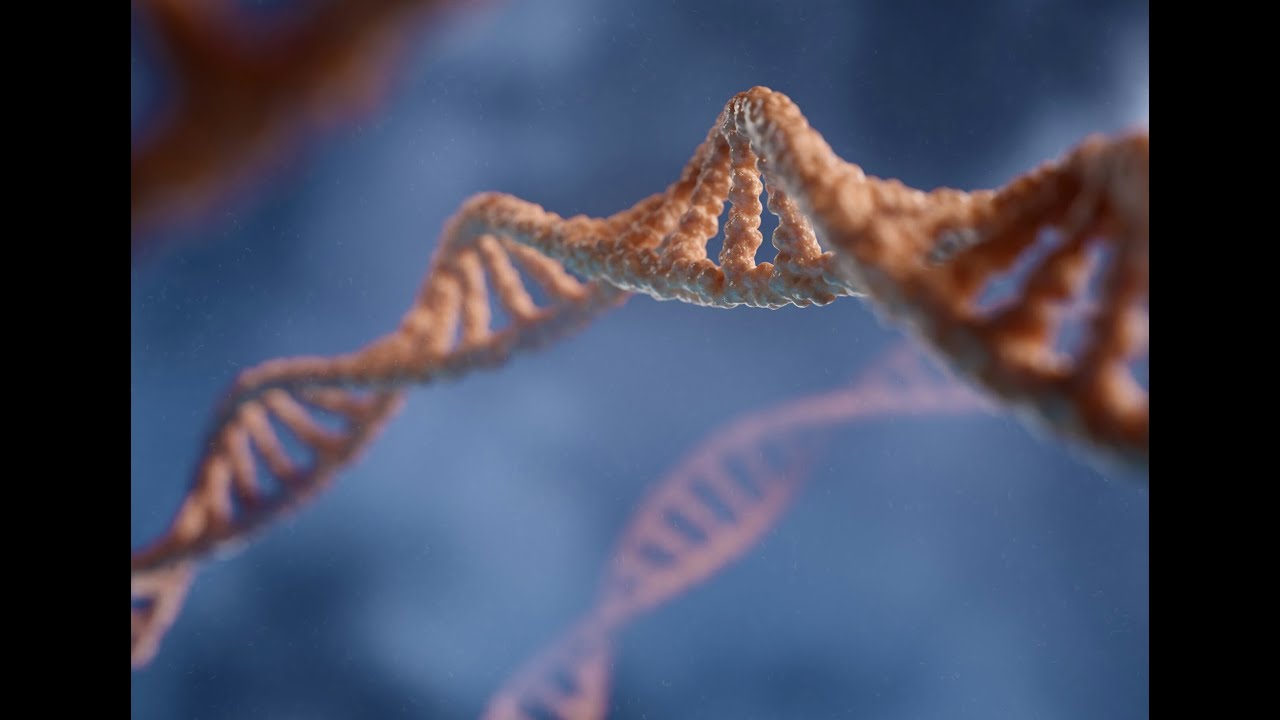 A Comprehensive Guide to Recovering from Addiction: Steps Towards Healing