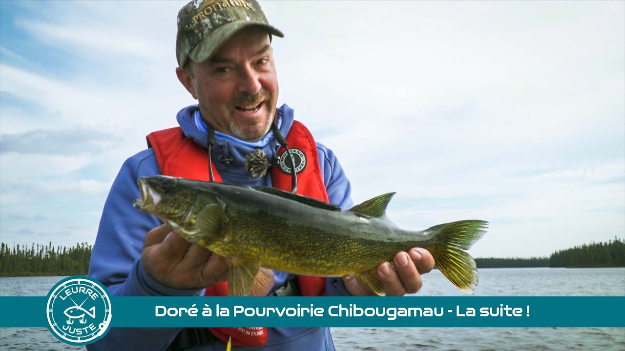 technique peche dore