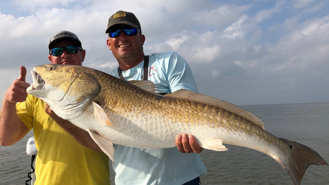 Giant Red Drum Catch Clean Cook Largest Redfish I've ever caught!