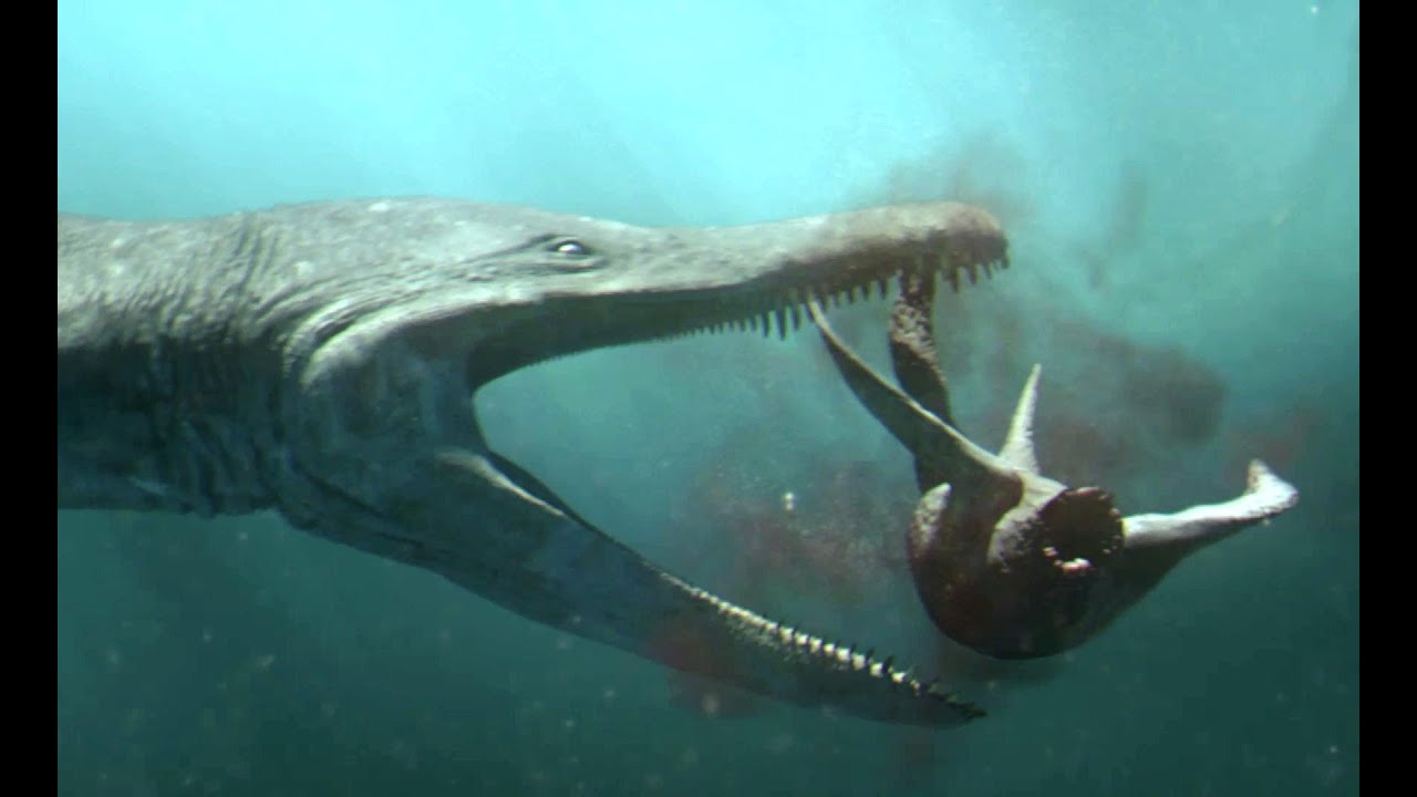 Predator X hunts in deep water Planet Dinosaur BBC