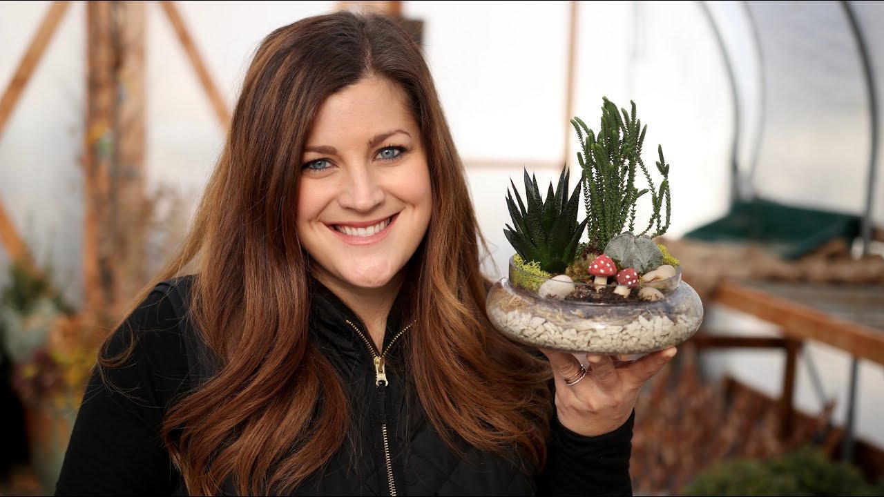 Hydro Stones Work! One Year Terrarium Update!