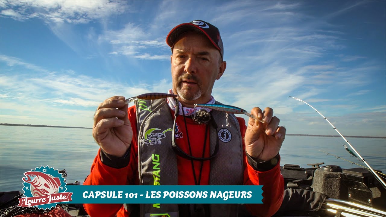 Technique pêche doré