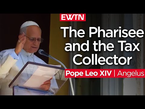 The Courage to Admit Our Mistakes | Pope Leo XIV Angelus Reflection ...