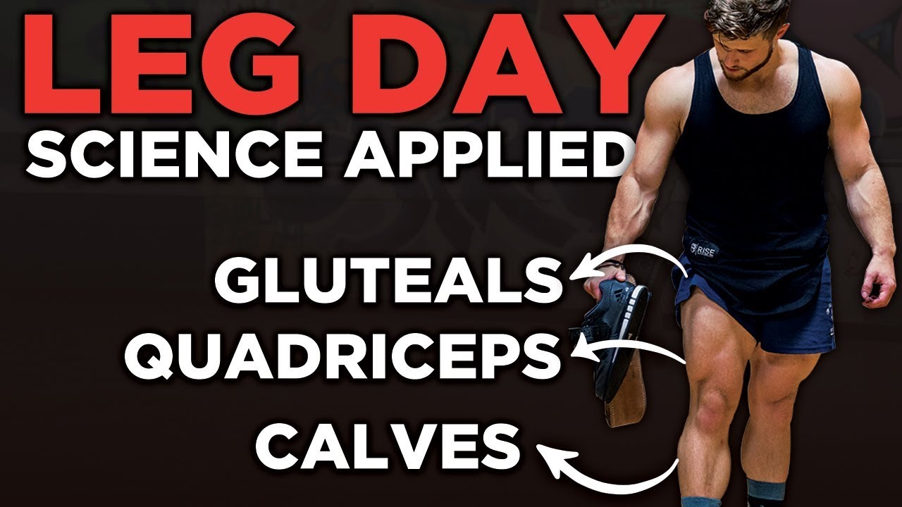 The Most Effective Science-Based Leg Workout Pt. 2 (Quads, Glutes, Hams ...