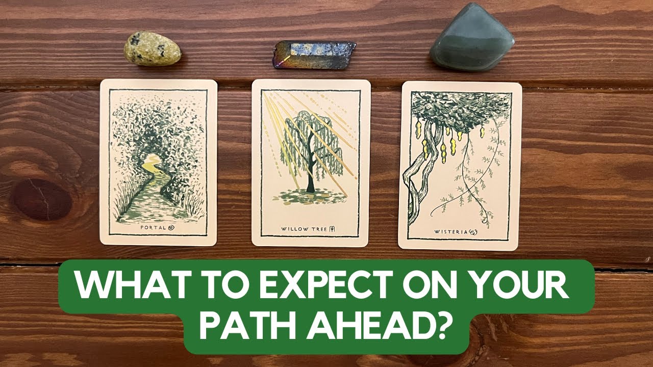 What To Expect On Your Path Ahead?