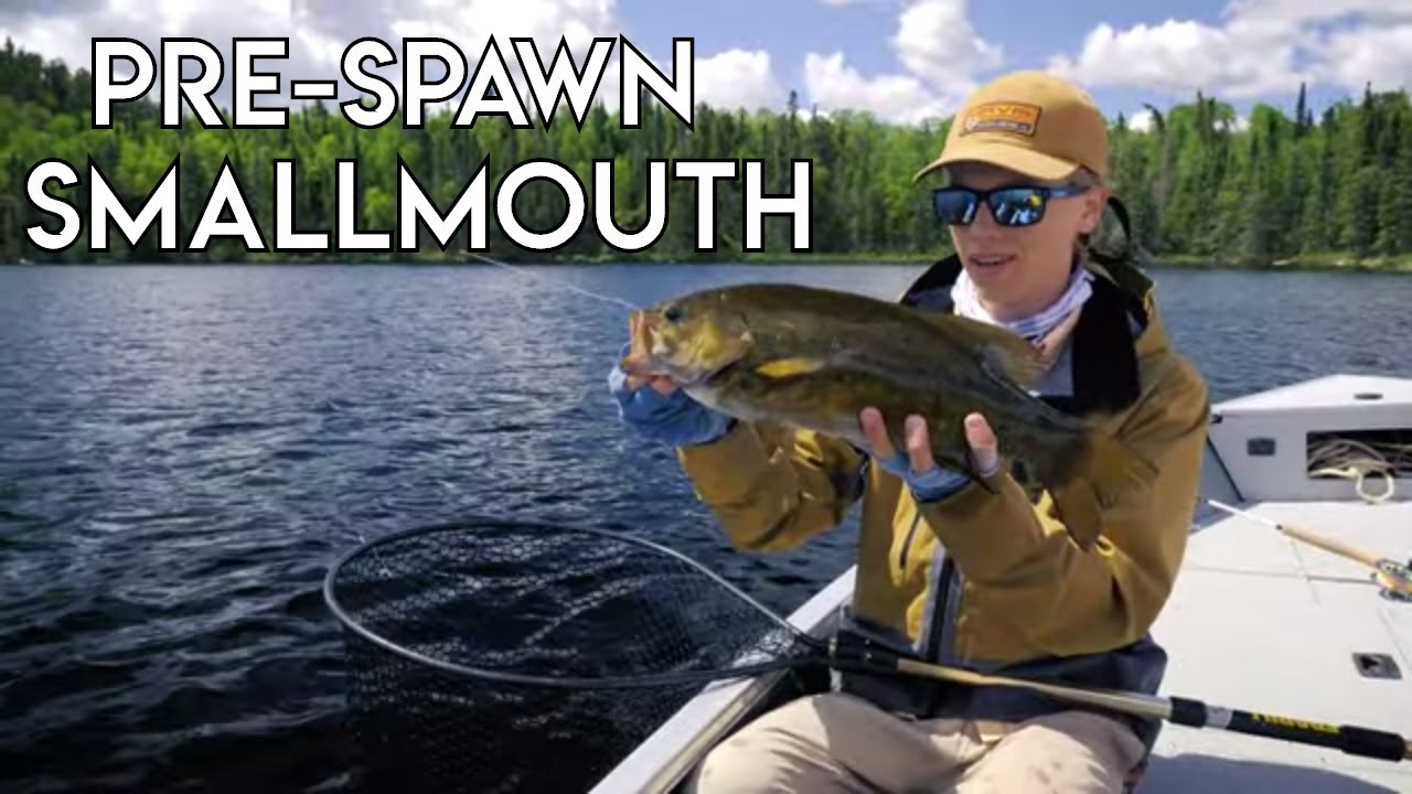 Pre-Spawn Smallmouth Bass - Tom Rosenbauer - The New Fly Fisher