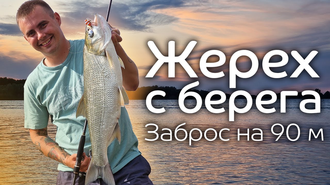 Спиннинг Arion ASRE962MLT - Купить Спиннинг Arion ASRE962MLT недорого в ...