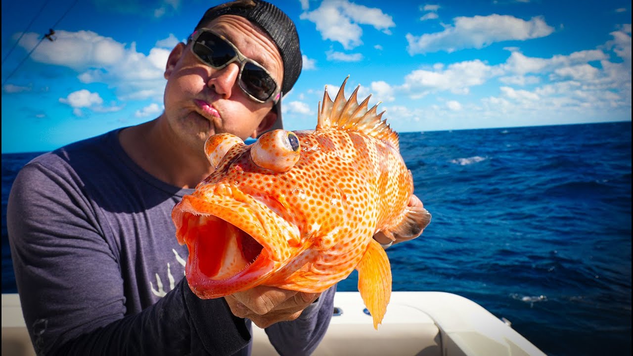 Succulent seafood Indian style Catch Clean Cook