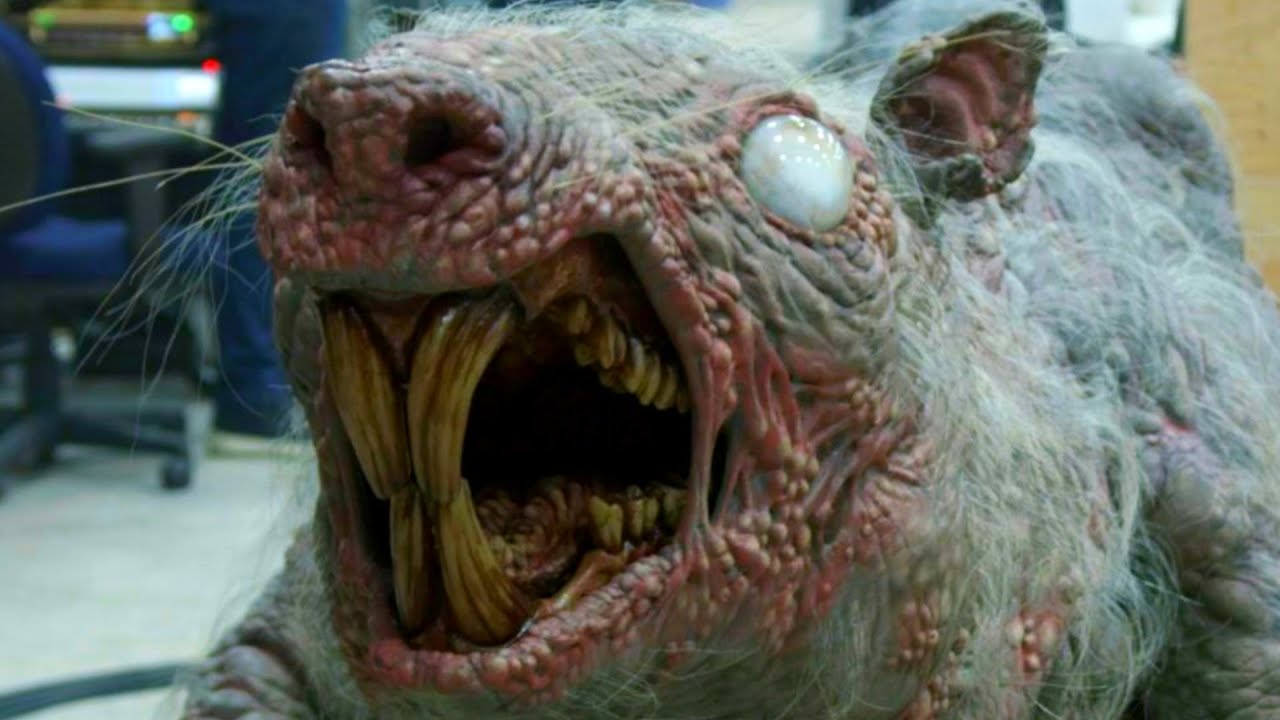 How Cabinet Of Curiosities Pulled Off The Rat Queen's Terrifying Look