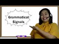 Understanding Writing Patterns and Structures Interactive Video