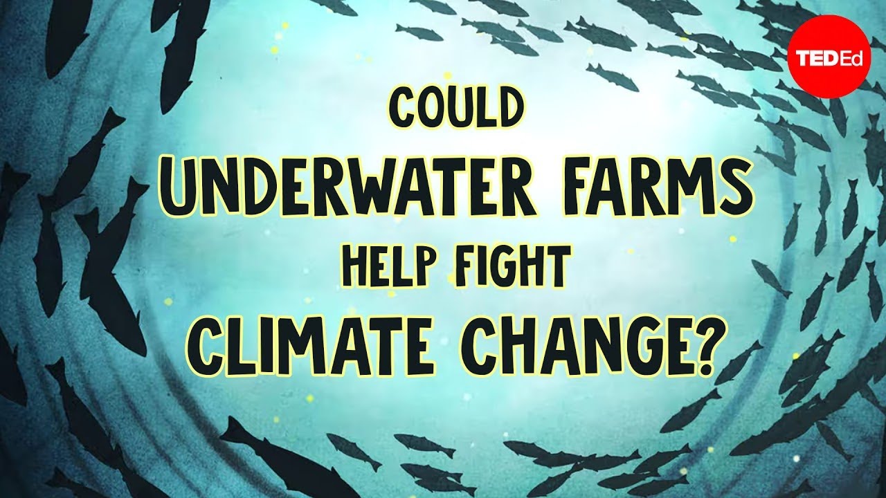 Underwater farms vs. climate change - Ayana Elizabeth Johnson and Megan ...