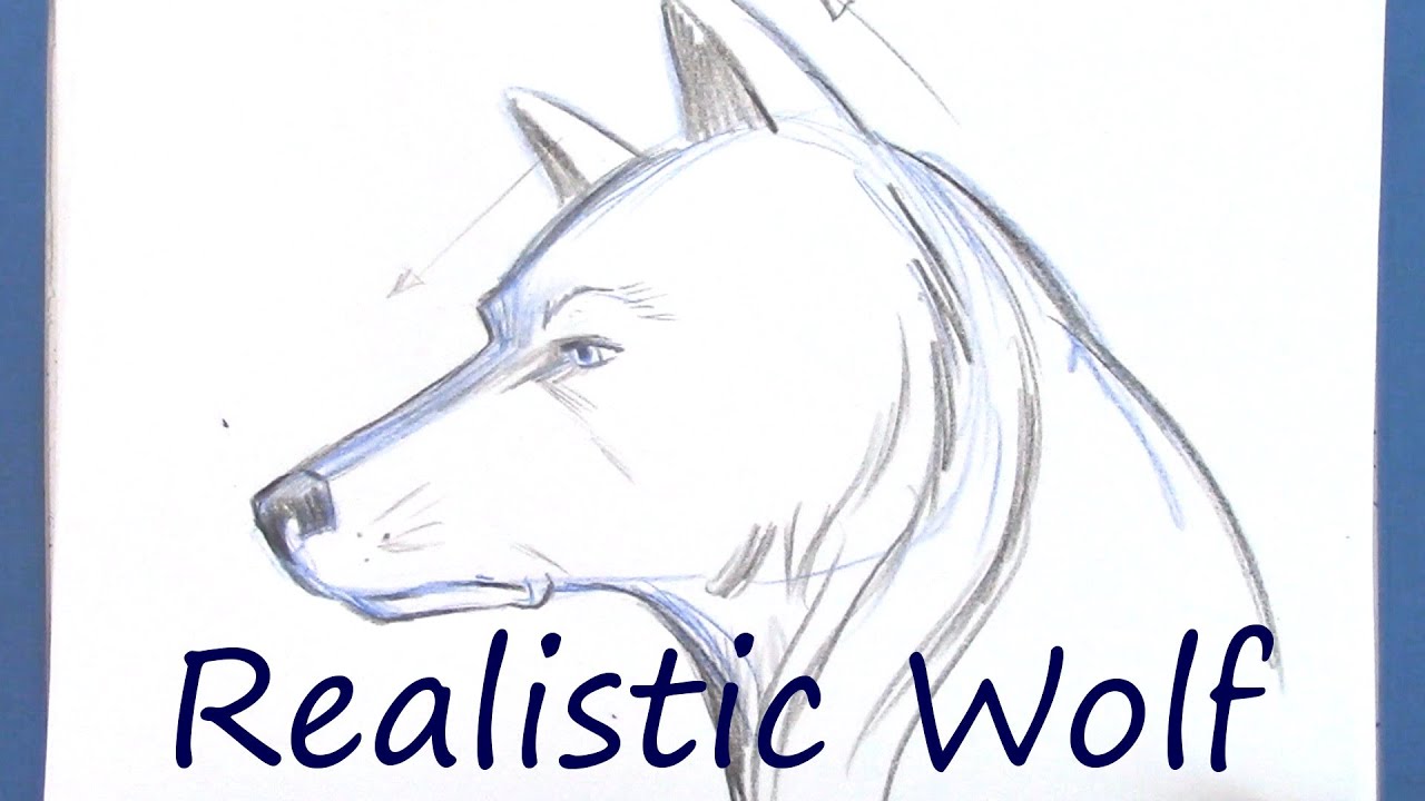 Learn to Draw a Wolf - Christopher Hart