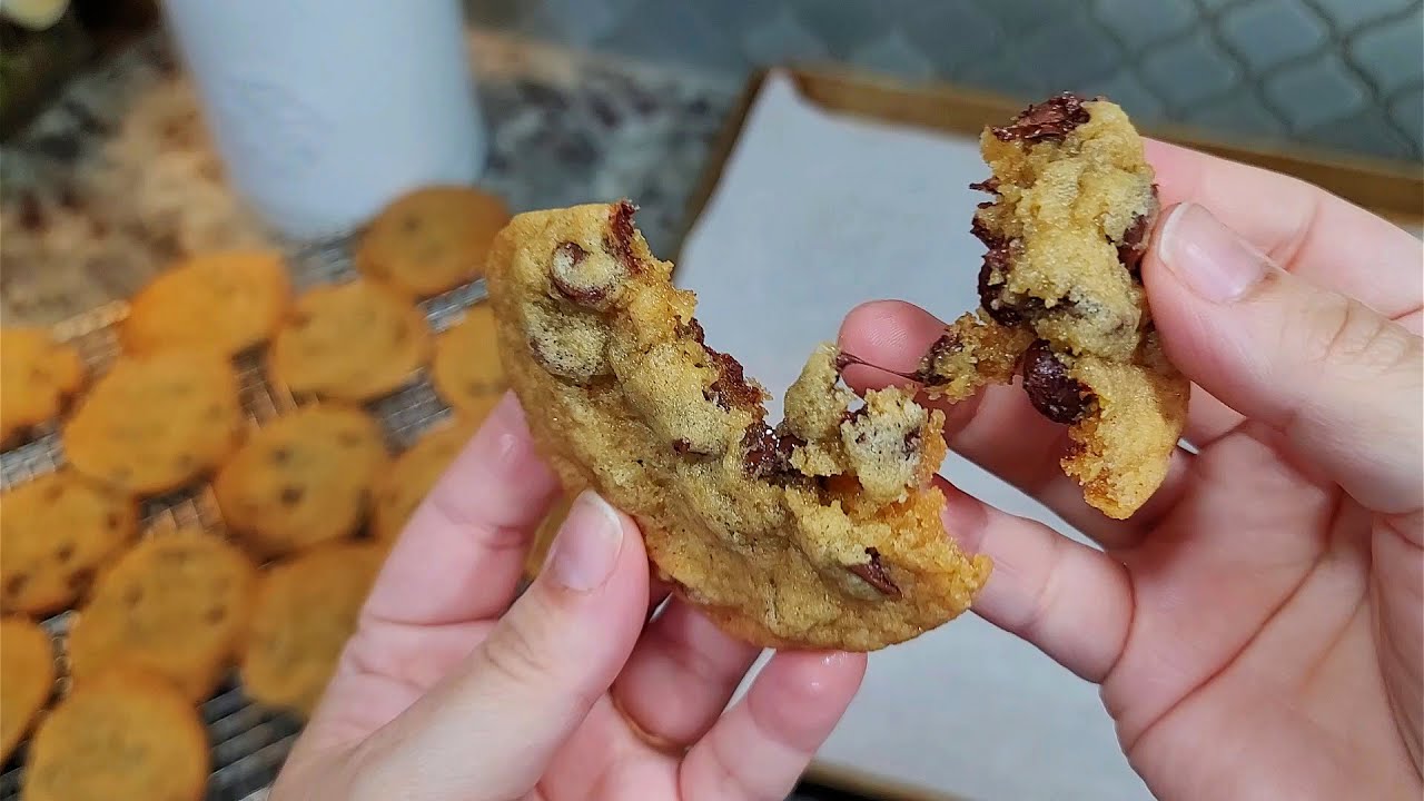 Homemade Regular Schmegular Chocolate Chip Cookies That Anyone Can Make!