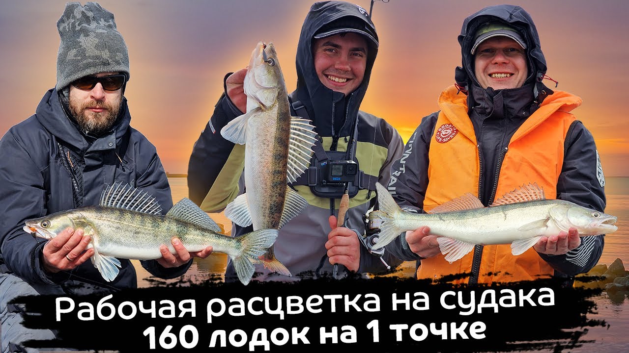 Спиннинг Arion ASRE832LS - Купить Спиннинг Arion ASRE832LS недорого в ...