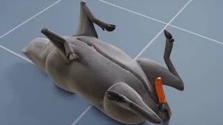 FieldTorq Field Dressing Super Tool (Stag) | Pyramyd AIR