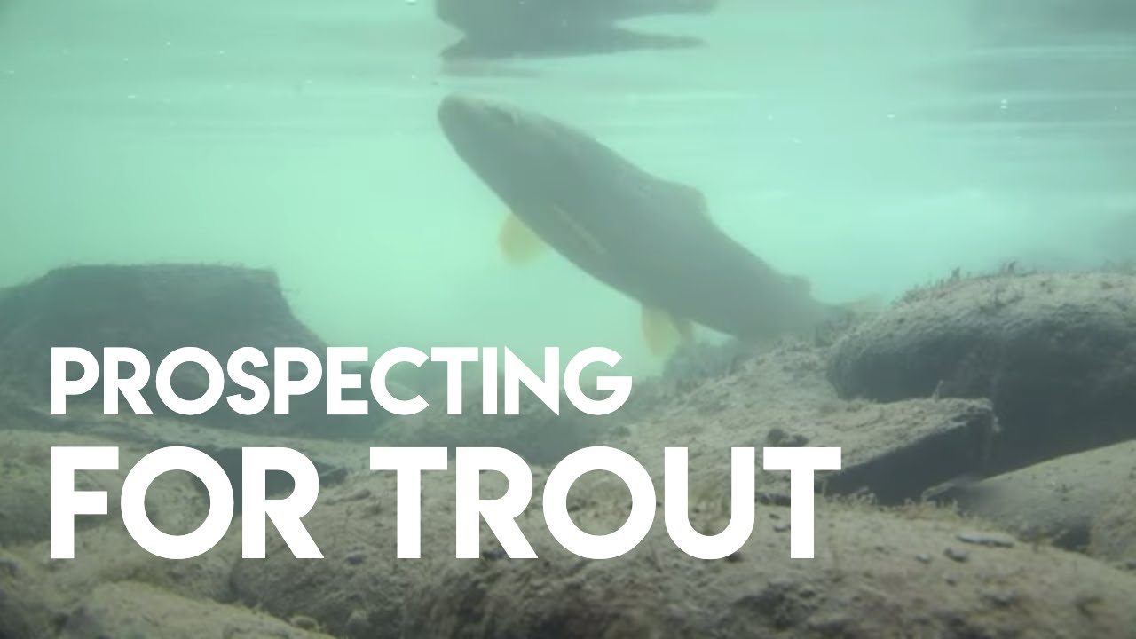 Prospecting for Trout on Streams - Tom Rosenbauer - The New Fly Fisher