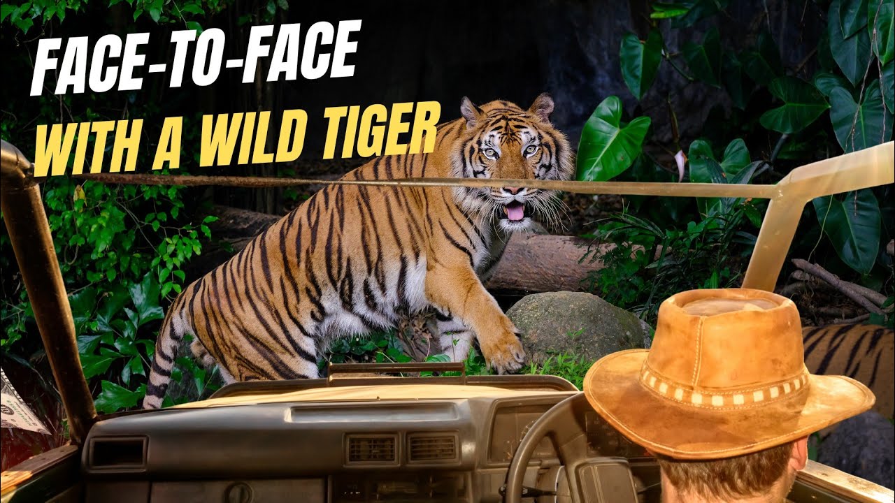 Best Safari Zones For Tiger Spotting In Ranthambore National Park ...