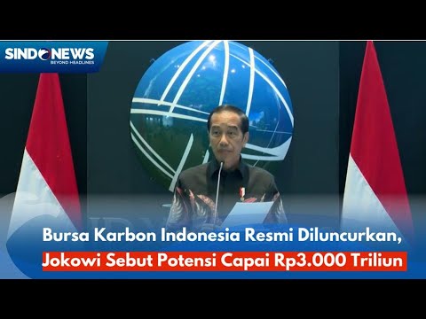 FT: Bursa Karbon Indonesia Resmi Diluncurkan, Jokowi Sebut Potensi Capai Rp3.000 Triliun