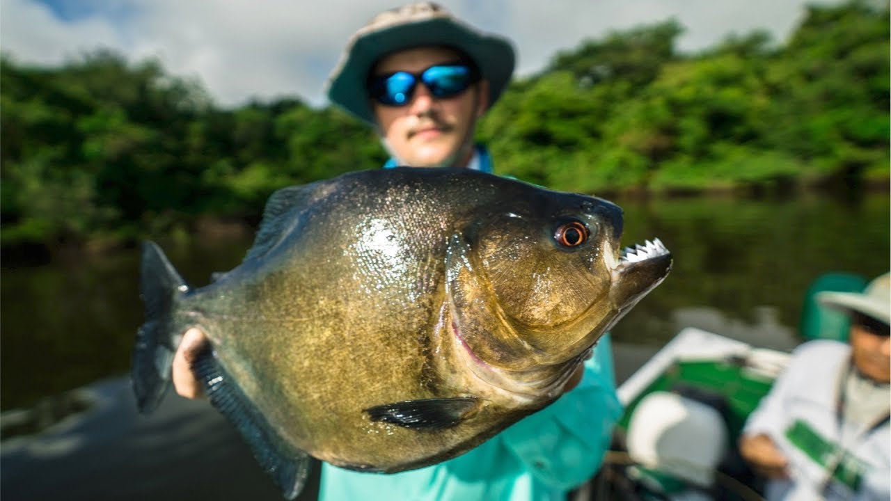 DEADLY PIRANHA Catch and Cook in the AMAZON Jungle (EPIC)