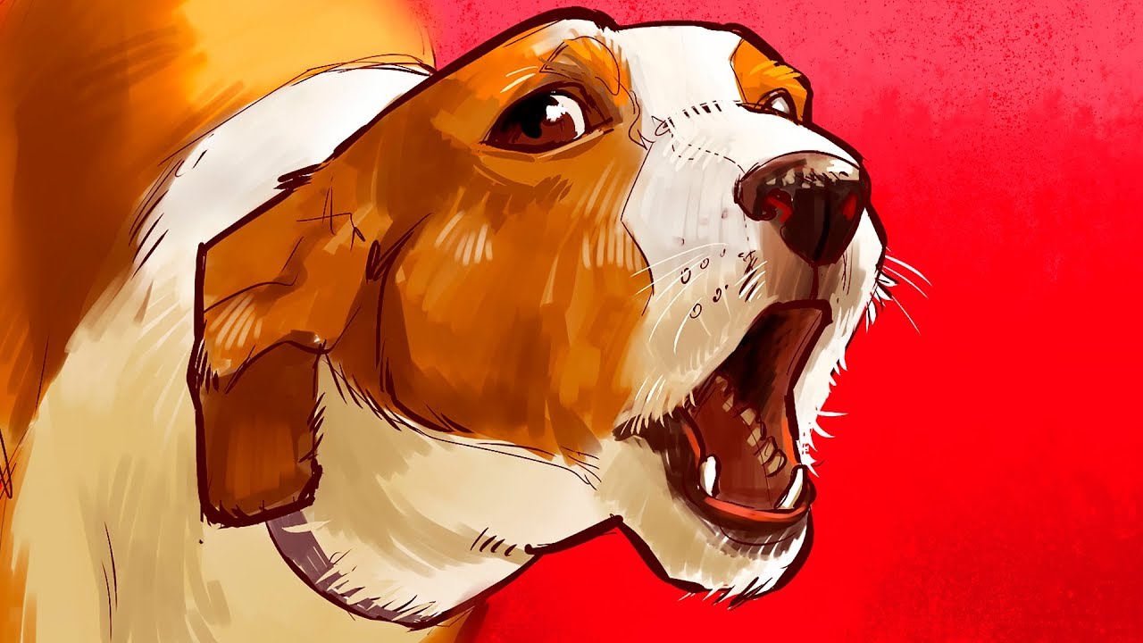 If You See a Service Dog Alone, Dont Ignore It