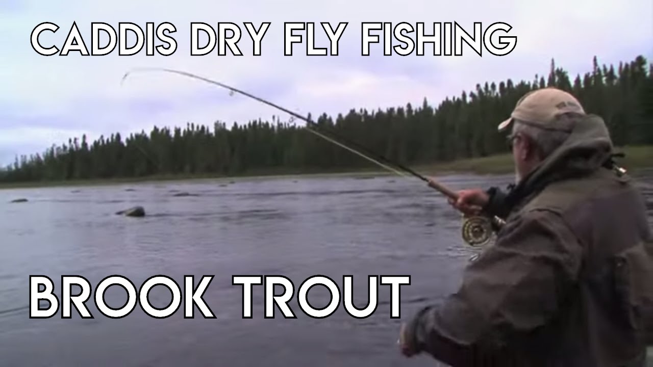 Dry Fly Caddis Fishing - Brook Trout - The New Fly Fisher