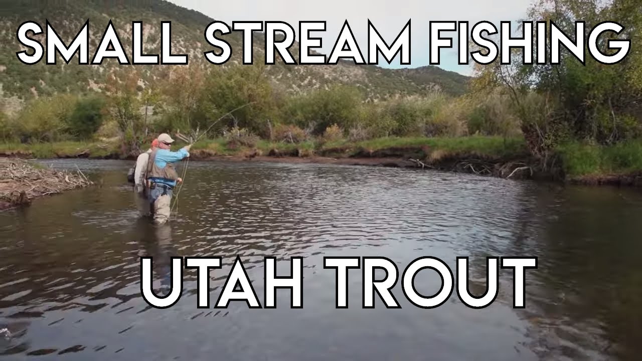 Small Stream Tips & Techniques - Utah Trout - The New Fly Fisher