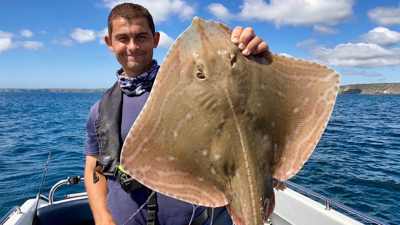 Sea Fishing in Summer - Bass, Pollack and Mackerel on lures and fishing ...