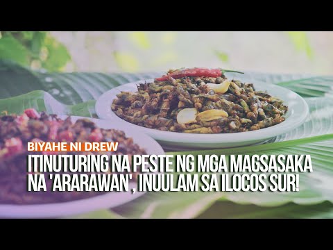 Itinuturing na peste ng mga magsasaka na 'ararawan', inuulam sa Ilocos ...