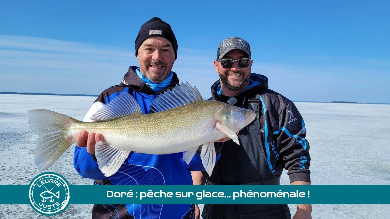 Technique peche dore