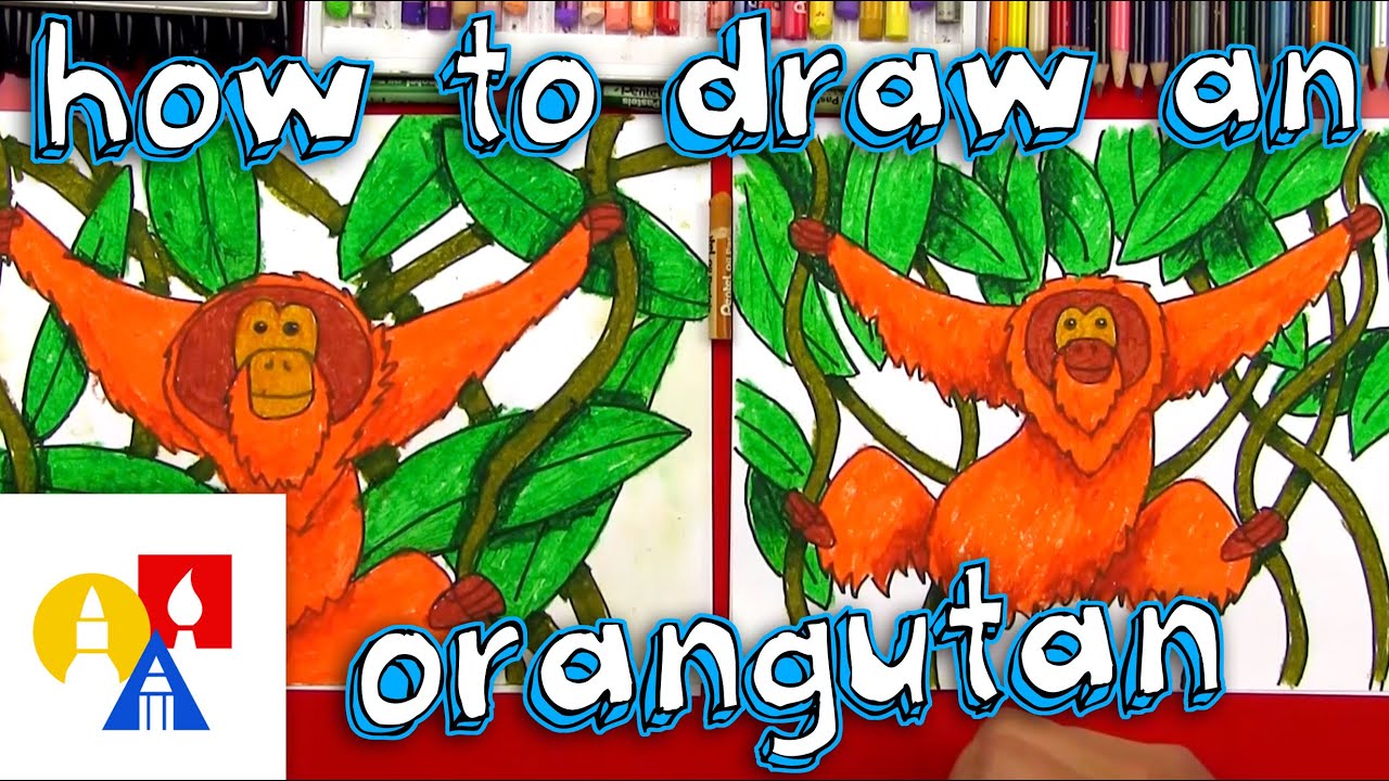 How To Draw An Orangutan #3