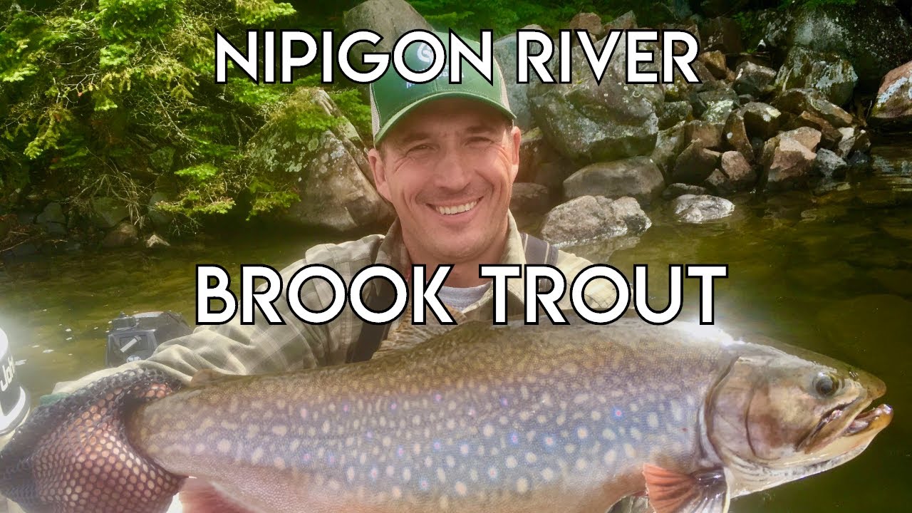 Nipigon River Brook Trout - Guide Tips - The New Fly Fisher