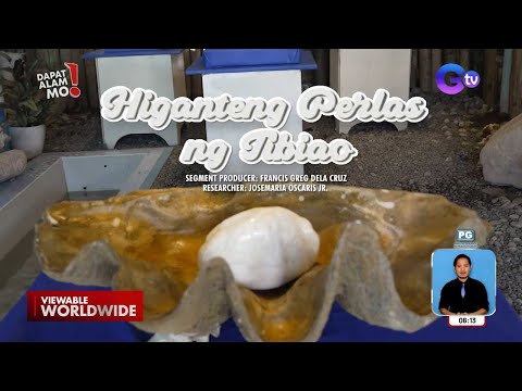 Mga perlas na aabot sa daang milyong piso, matatagpuan sa Antique ...