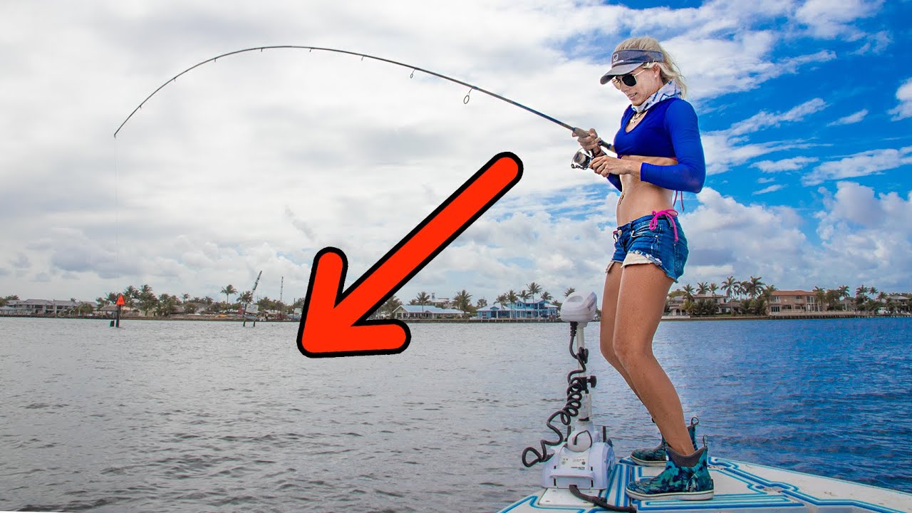 Light Tackle Fishing for Prehistoric MEGALOPS (aka Tarpon) Florida ...