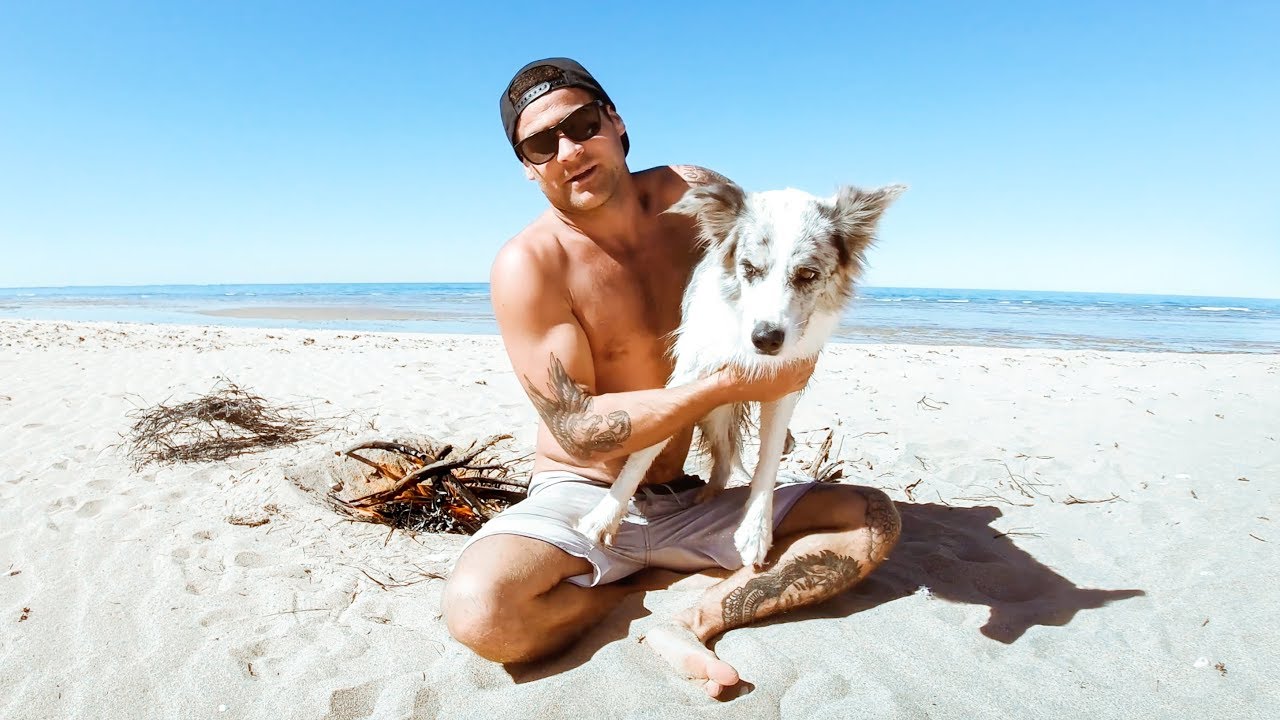 CAMPFIRE STORY PUPPY STRYDA DOG Crayfish Catch And Cook (Manta Rays ...