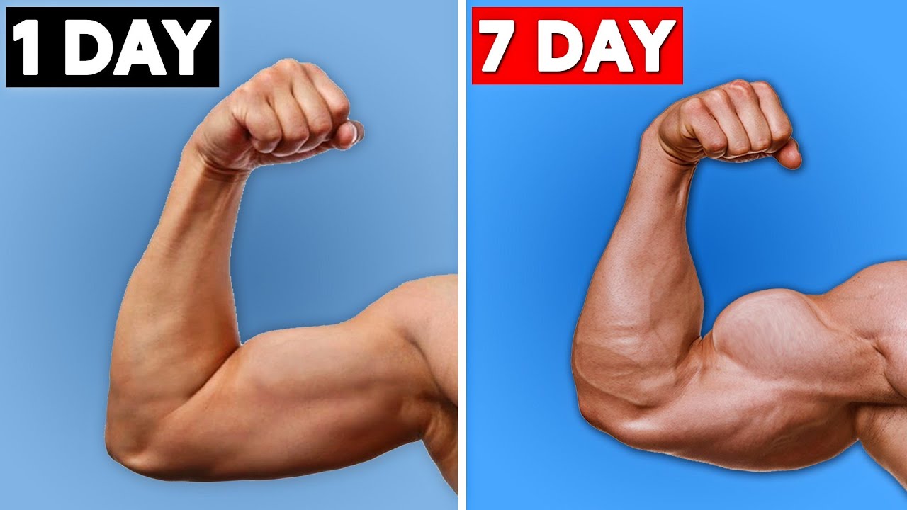 Workout Exercises To Build Arms ( Without Gym & Dumbbells )