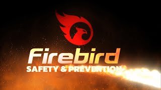 Firebird M50 Moderated Target, 10pk | Pyramyd AIR