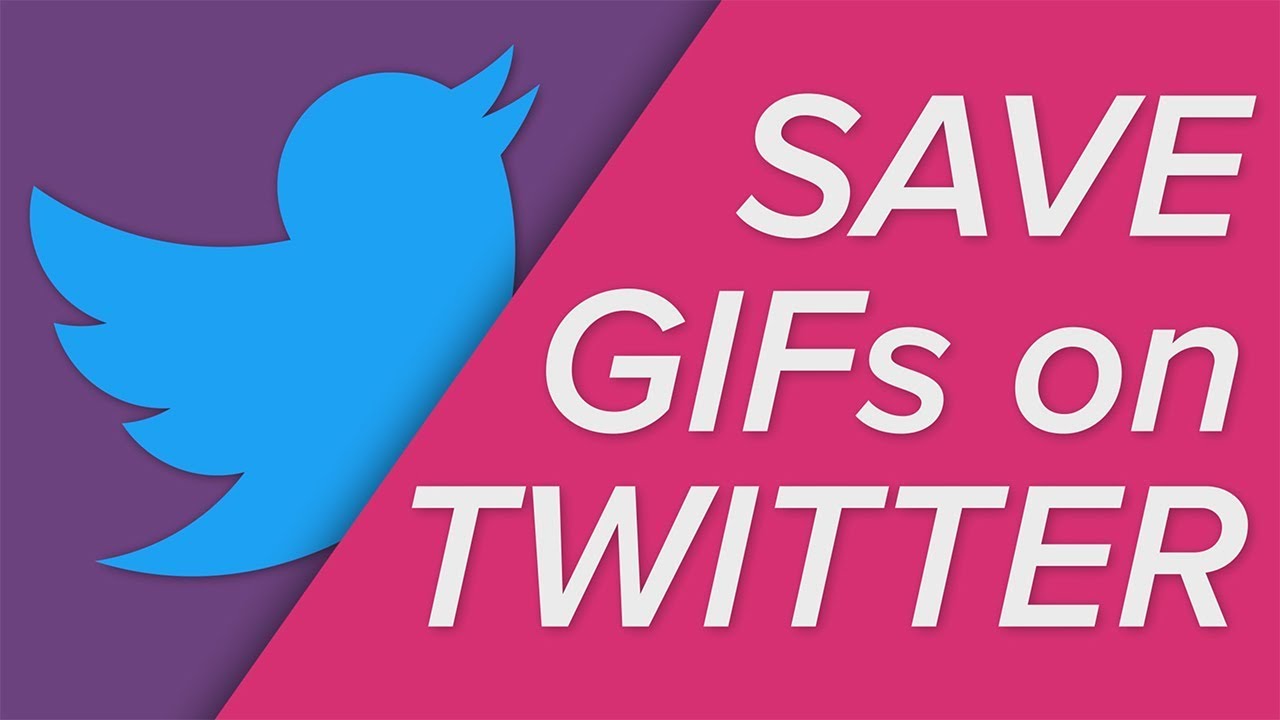 How to Save GIFs on Twitter! - TechJunkie