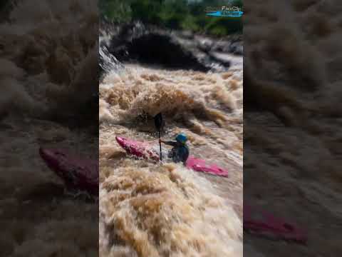 Gallery – Savage Wilderness