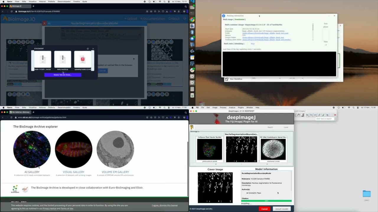 AI4Life – Euro-BioImaging