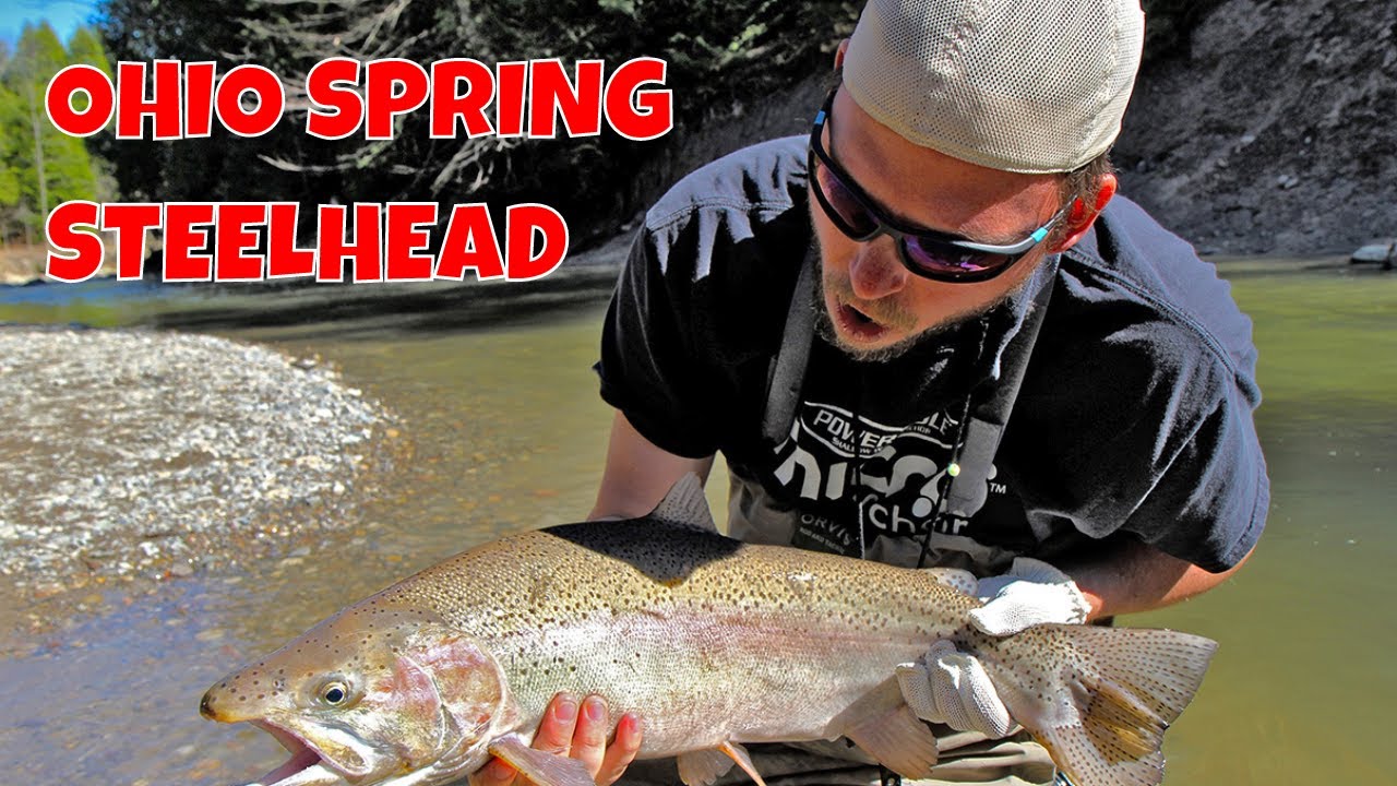 Ohio Spring Steelhead Fishing - The New Fly Fisher