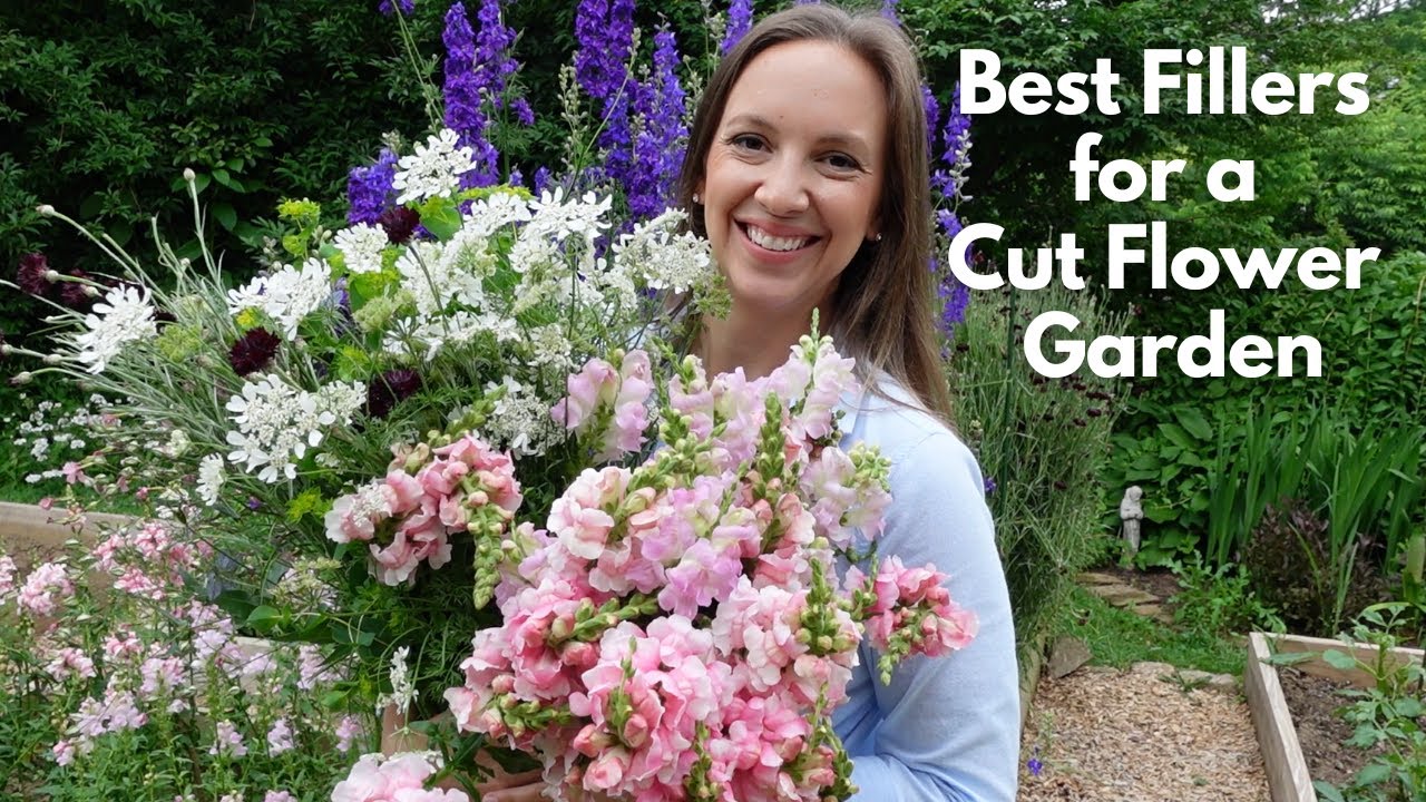 Best Fillers for a Cut Flower Garden!