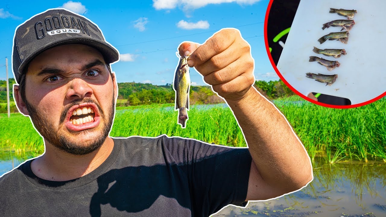 MICRO Catfish CATCH CLEAN COOK (Surprising Result)