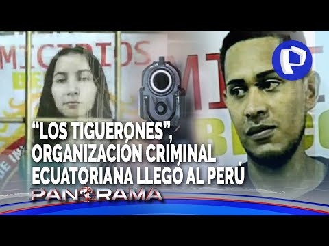 ¡Exclusivo! "Los Tiguerones", organización criminal ecuatoriana que llegó a Perú
