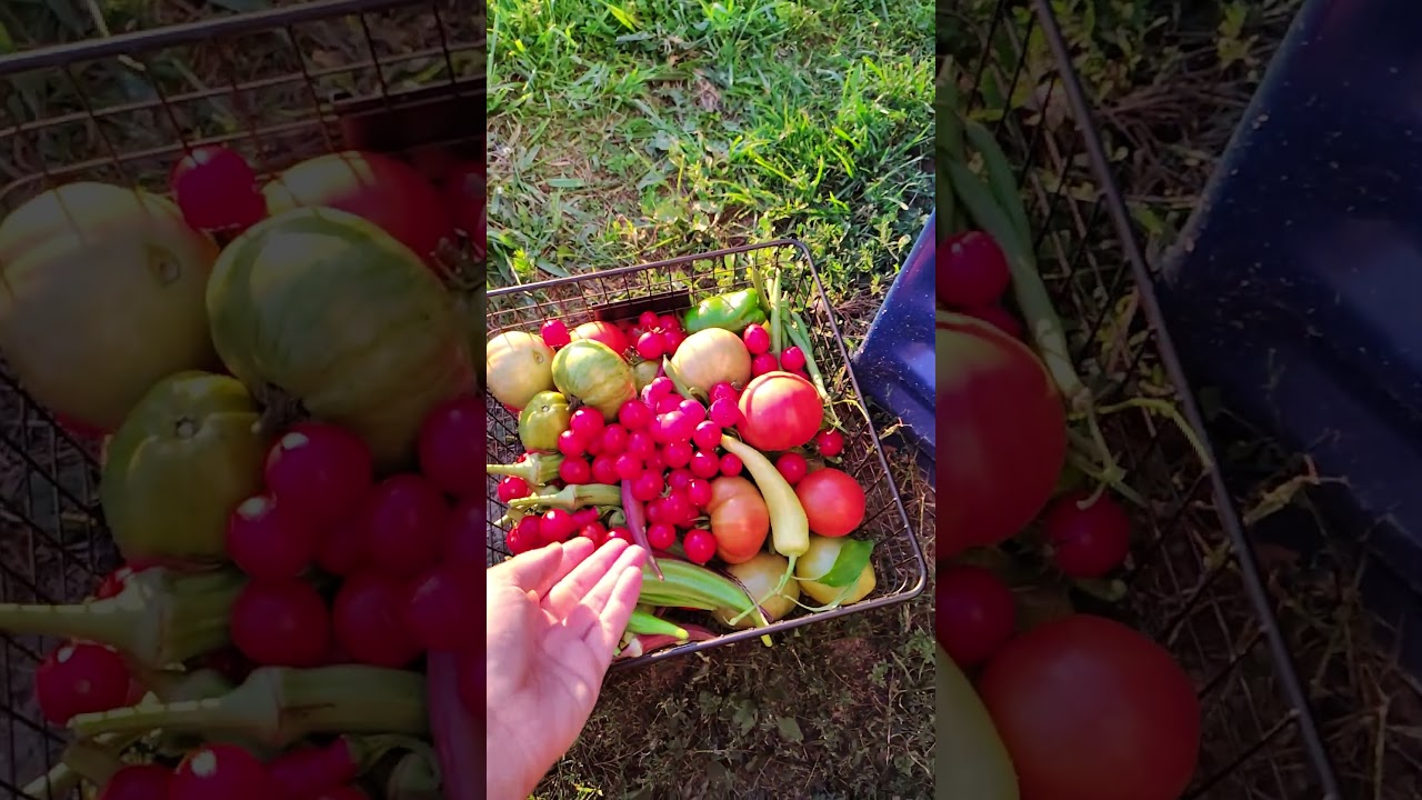 Home - Three Rivers Homestead