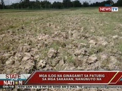 Matinding init, naging sanhi ng pagkamatay ng mga isda at pagkatuyo ng ...