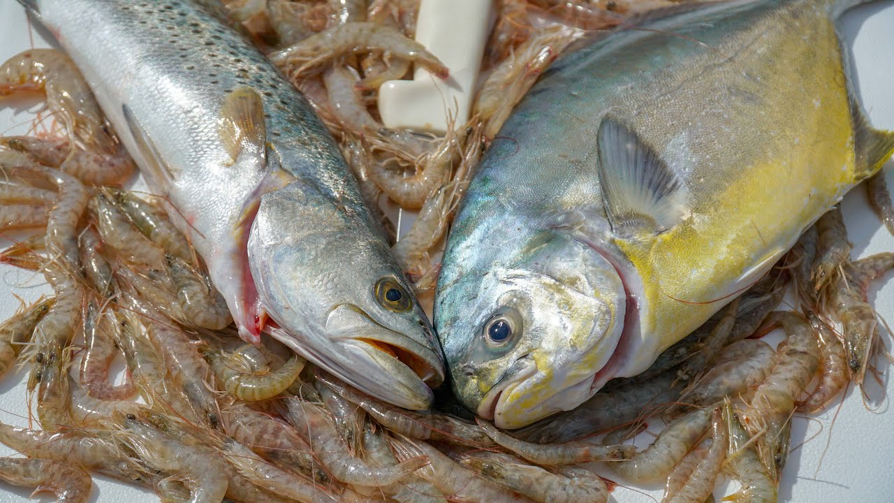 WE Ate OUR BAIT- Catch Clean Cook- Shrimp, Trout, Pompano