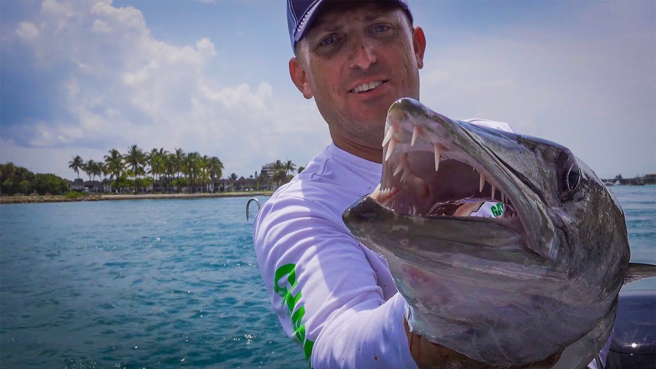 BARRACUDA n' SWAMP CABBAGE STEW with ZION WRIGHT Catch Clean Cook
